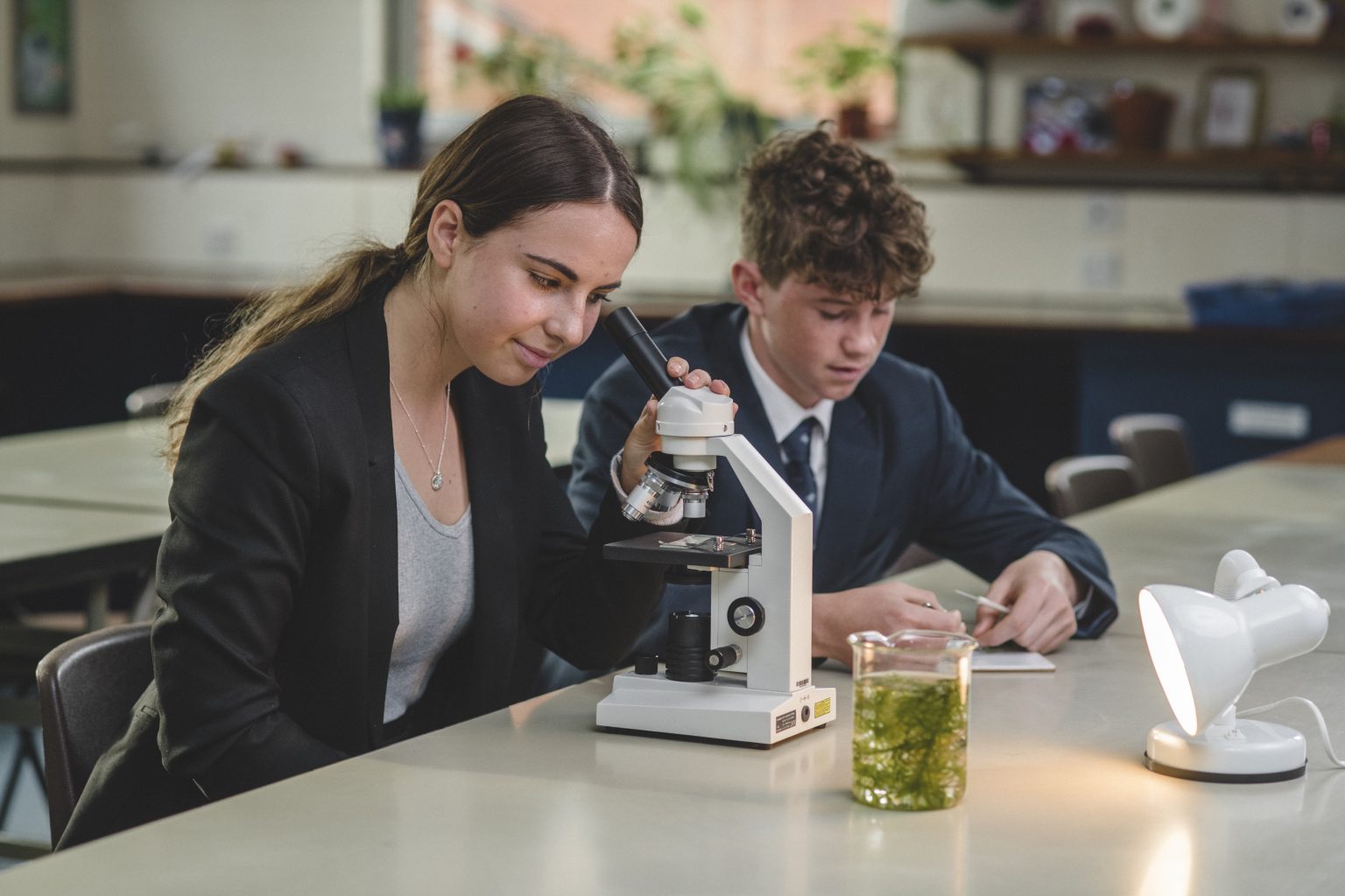 A Level and BTEC Subjects | Private School Devon | Exeter School