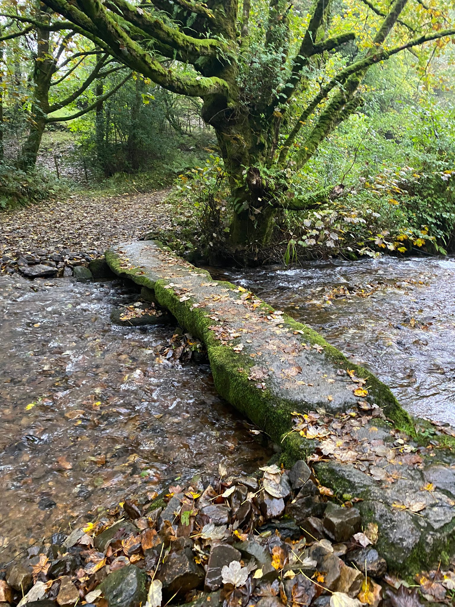 Abbots Way Walk | Exeter School